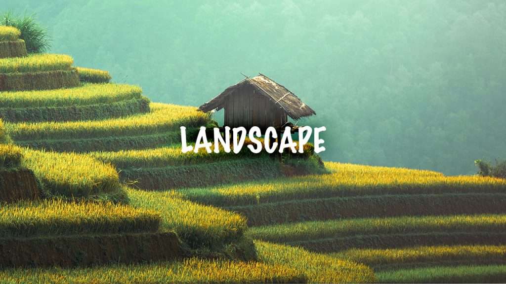 Green Landscape Effects - 3DLUT pack | Lutmix